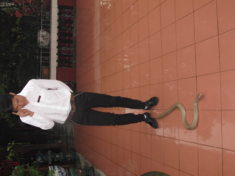 Word from Bob: At the snake restaurant