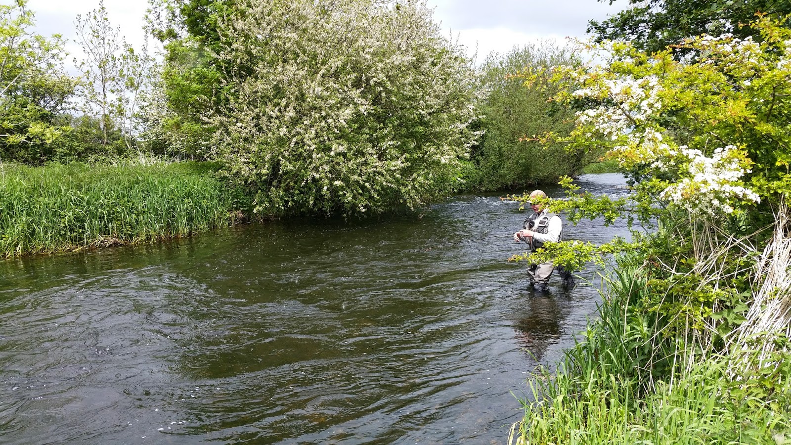 Piscari-Fly : Nymphing During The May Fly, River Nymphs & River Fishing