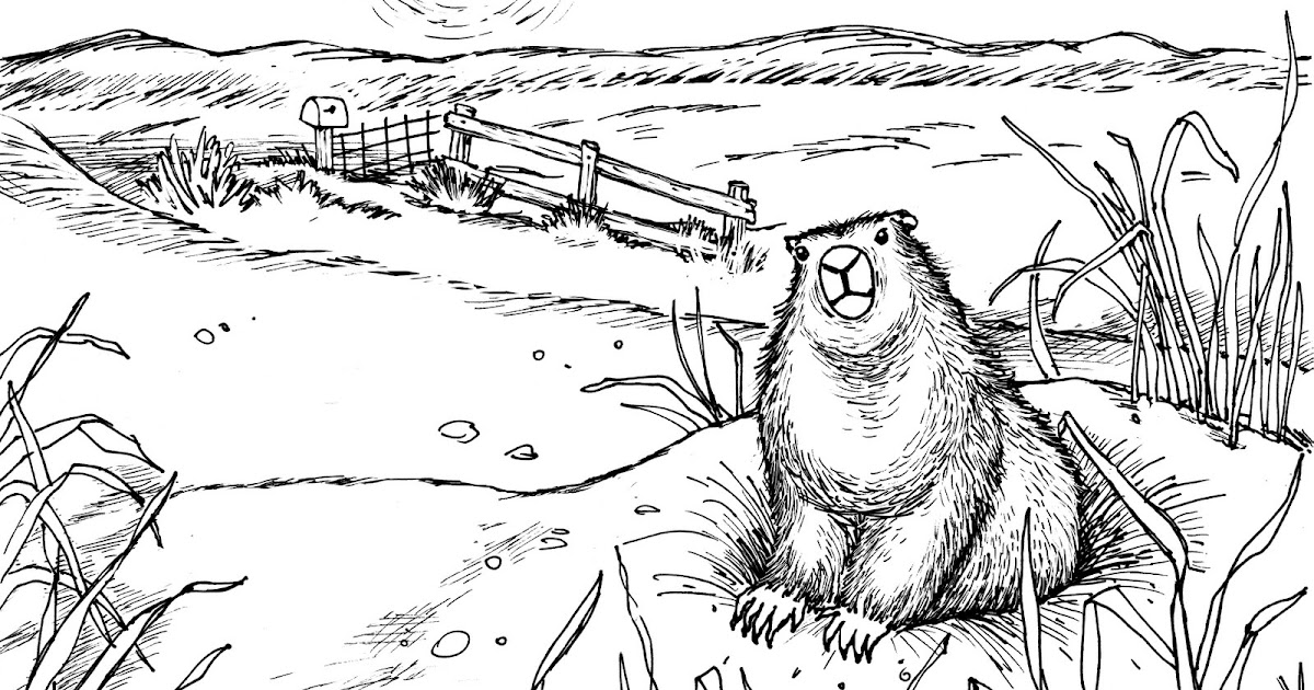 Licorice Coloring Pages Sketch Coloring Page