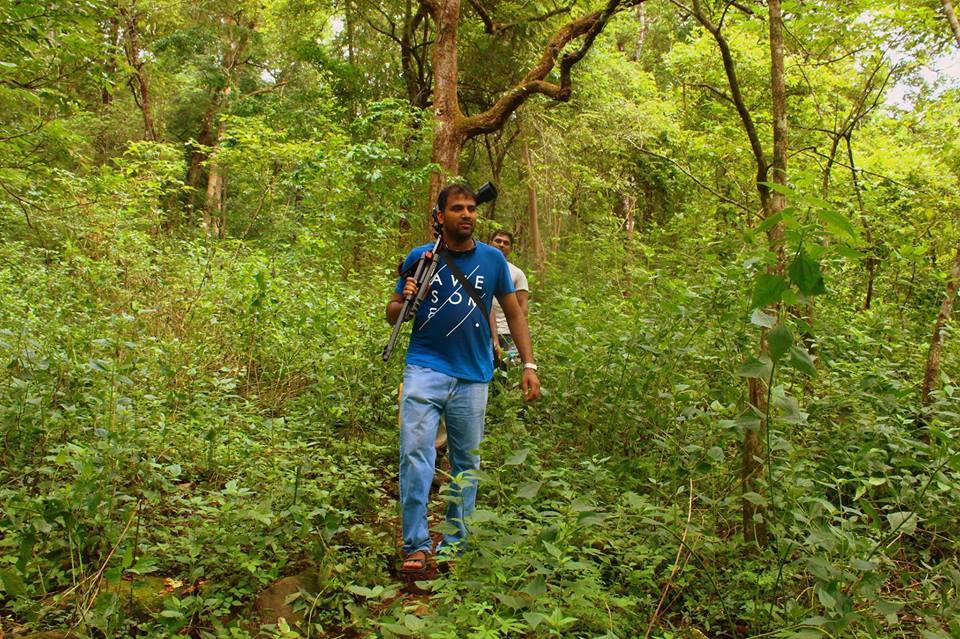 കാടിന്റെ തണുപ്പും കാഴ്ചകളുമായി ചിമ്മിണി വൈൽഡ് ലൈഫ് - Chimmini Wild Life ...