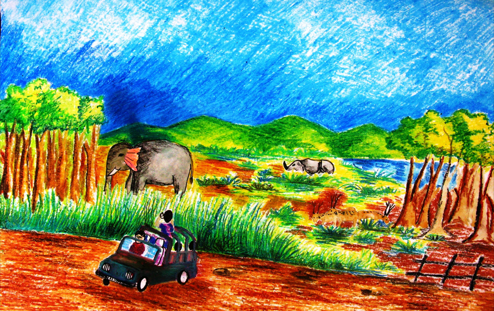 Biodiversity Experiences: BIODIVERSITY THROUGH ART