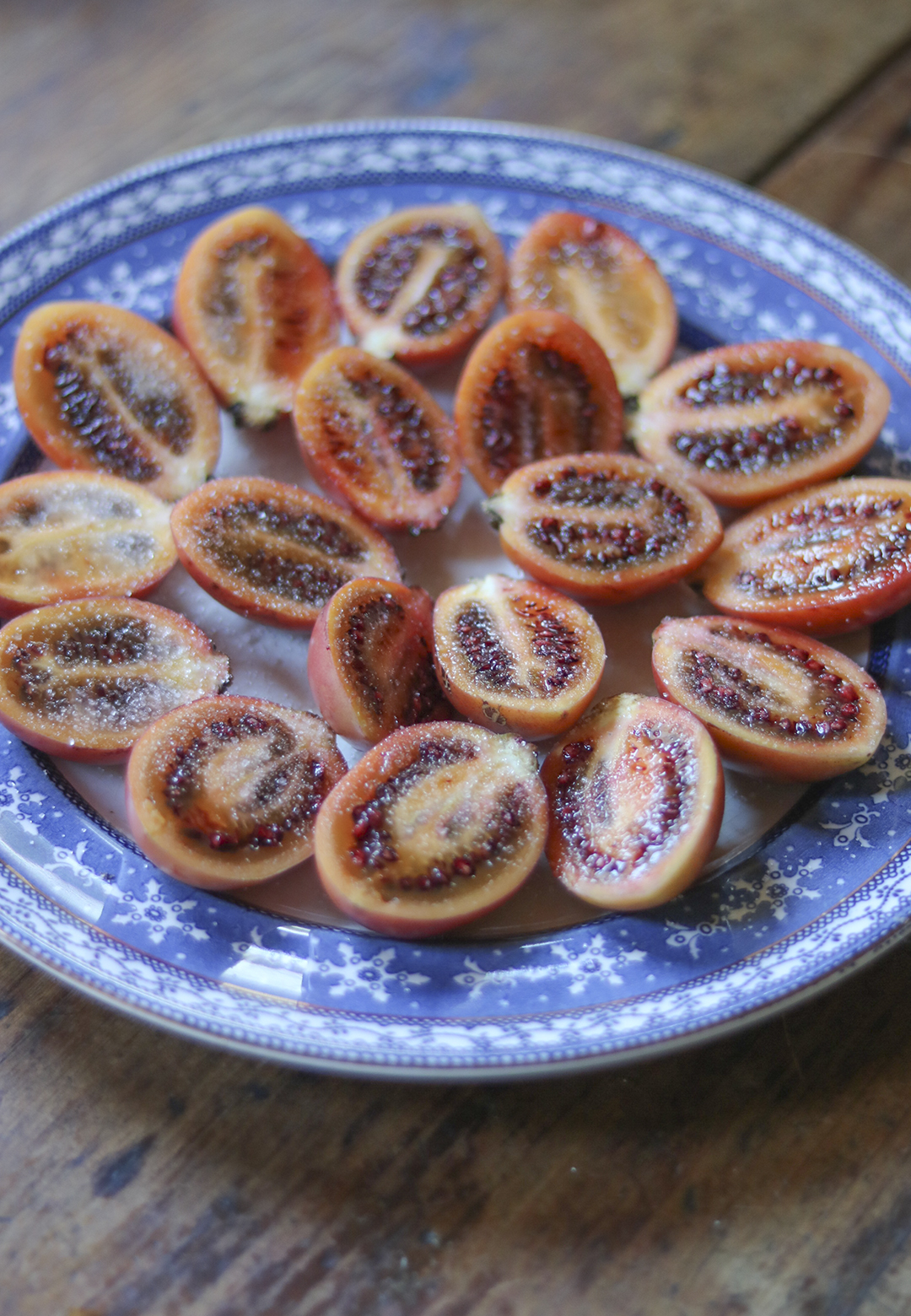 66 Square Feet (Plus): Fruit bat