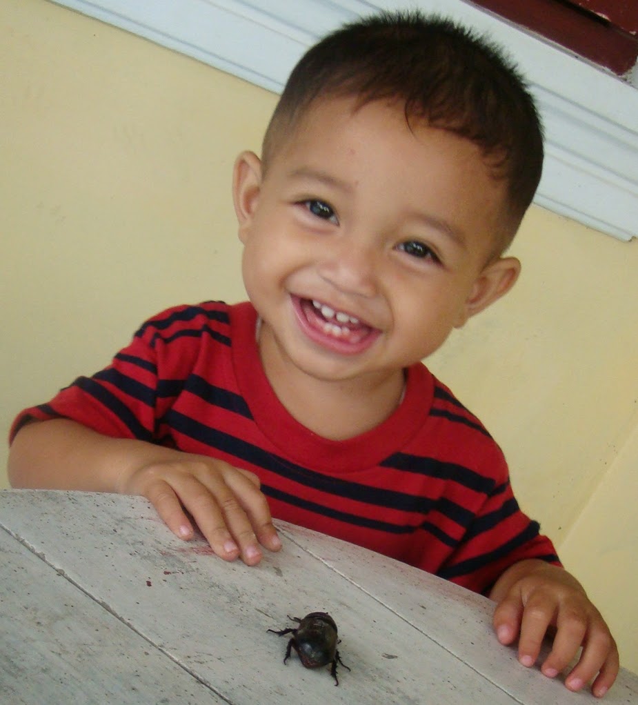 JOKO SISWOYO WPC BLOG Desember 2012
