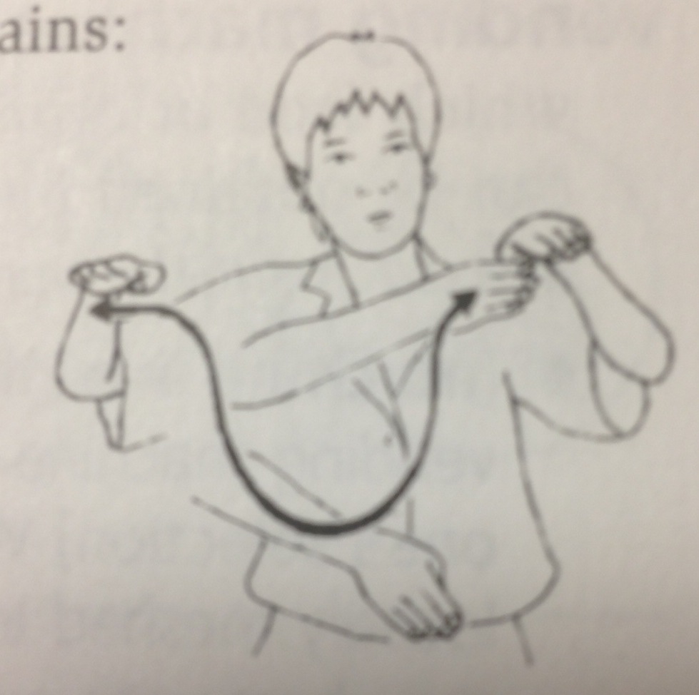 HearMyHands ASL: signs starting with V ... VANILLA and VALLEY