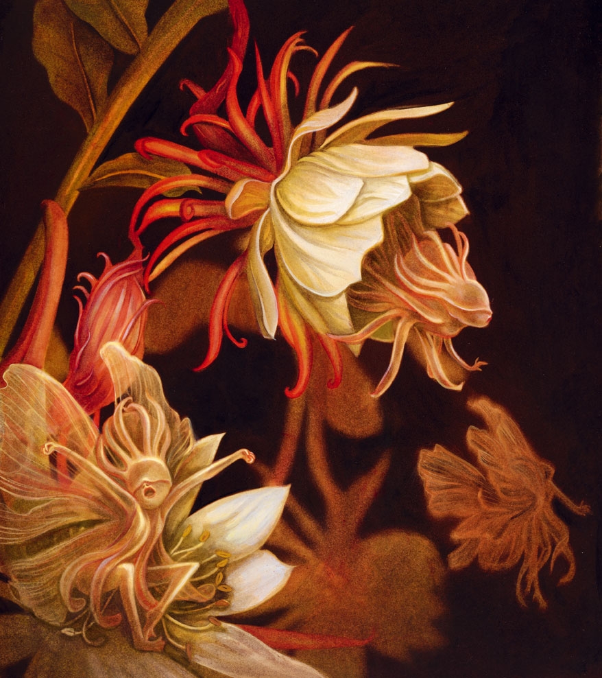 paradis express: Benjamin Lacombe