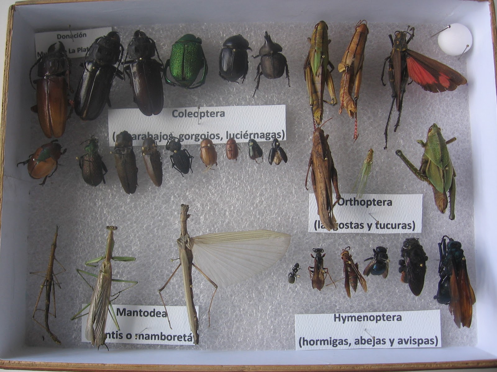 LABORATORIO DE CIENCIAS NATURALES: julio 2015