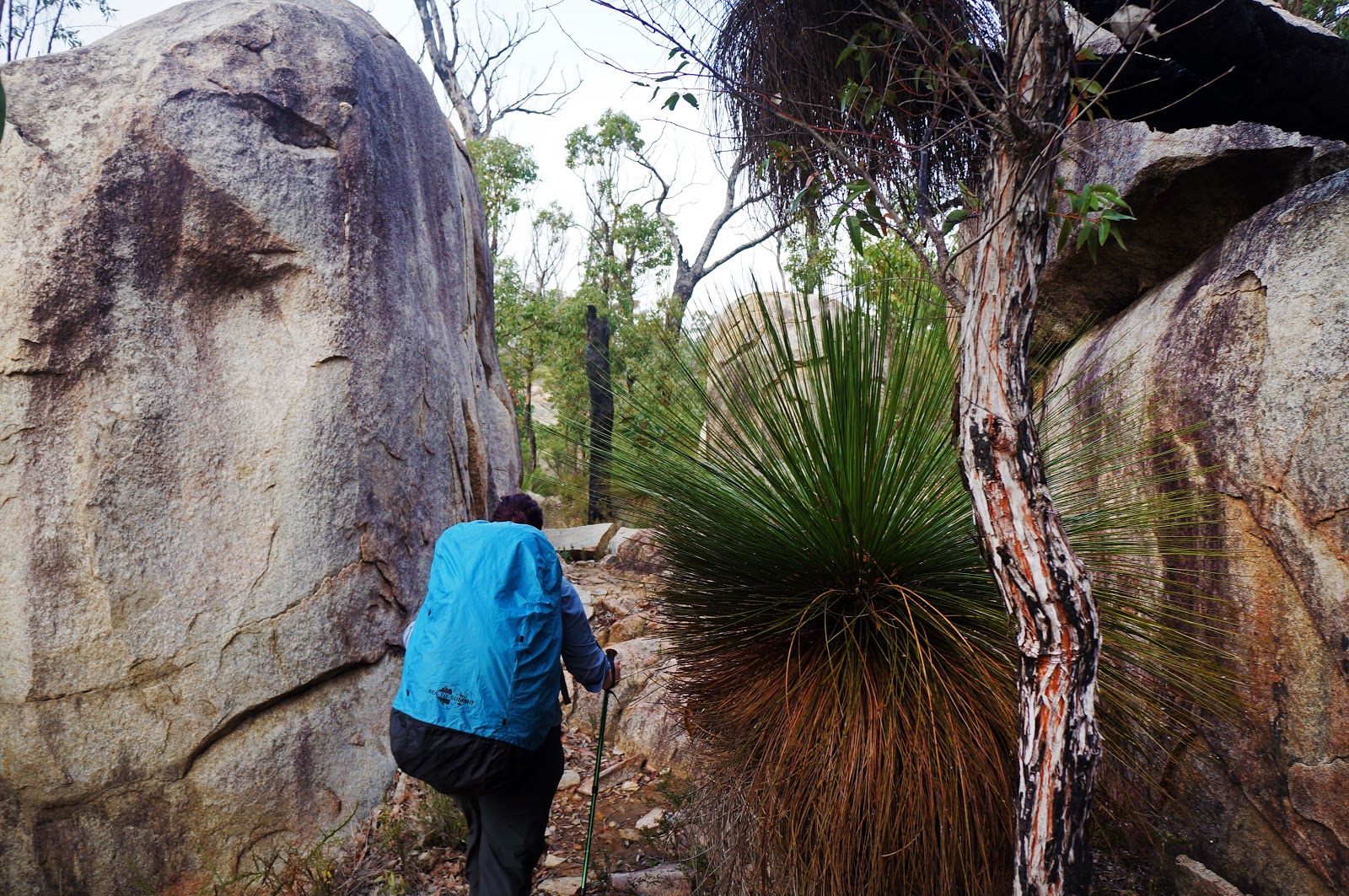 Bibbulmun Track (WA) - White Horse Hills to Mt Wells ~ The Long Way's ...
