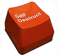 The Vices and Advices of a Staten Island Girl: Before I Self Destruct...