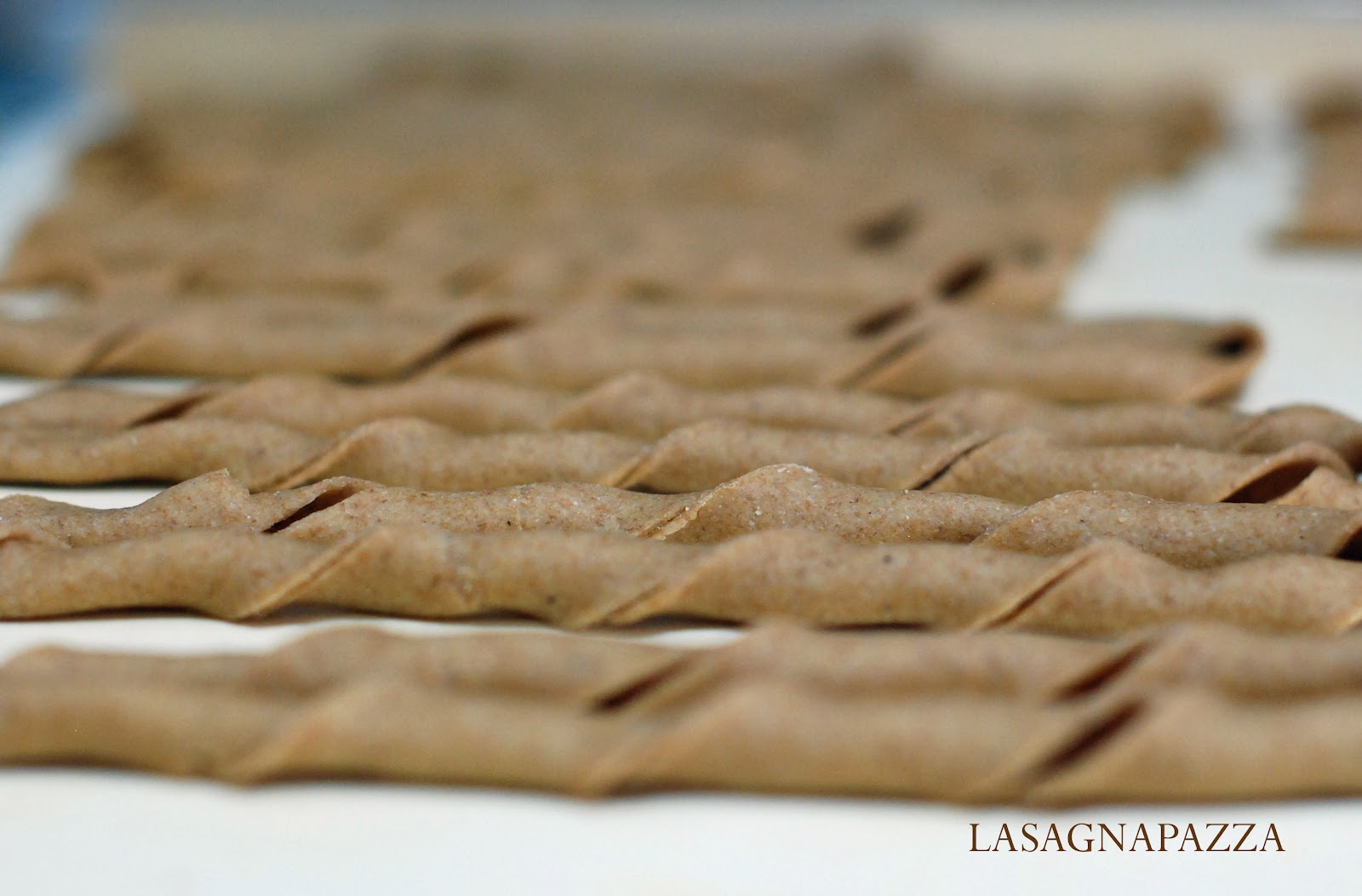 lasagnapazza: SAGNE ‘NCANNULATE DI FARRO ALLA RICOTTA