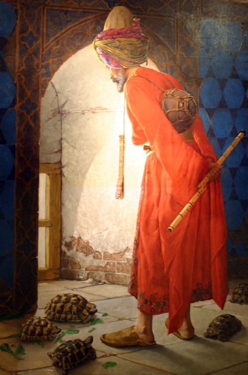 The Lavish Life of Henry: The Turtle Tamer