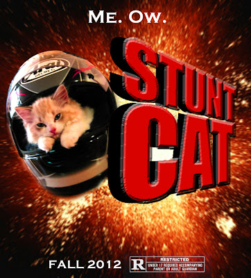 Eat A Dick, Joel: The Blog: Stunt Cat. Now More Than Ever.