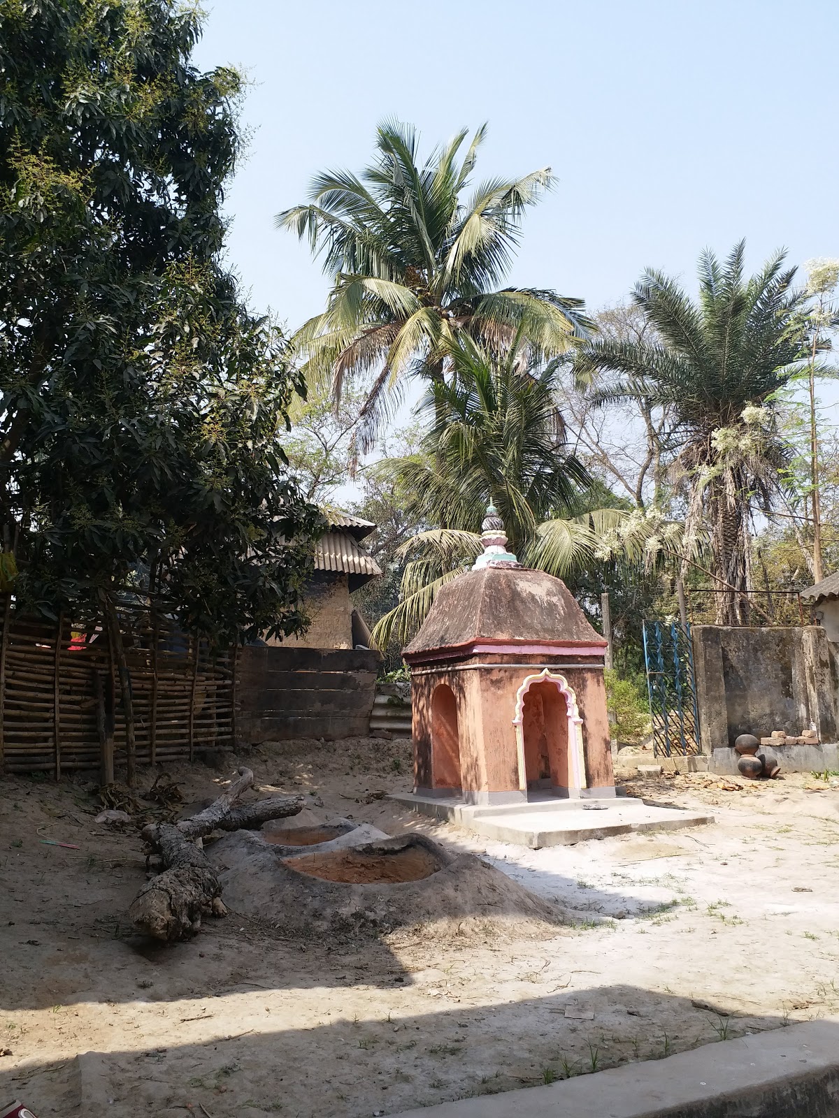 A BIRD LOVER'S JOURNAL: The Swarup Narayan Temple, Goghat - Near ...