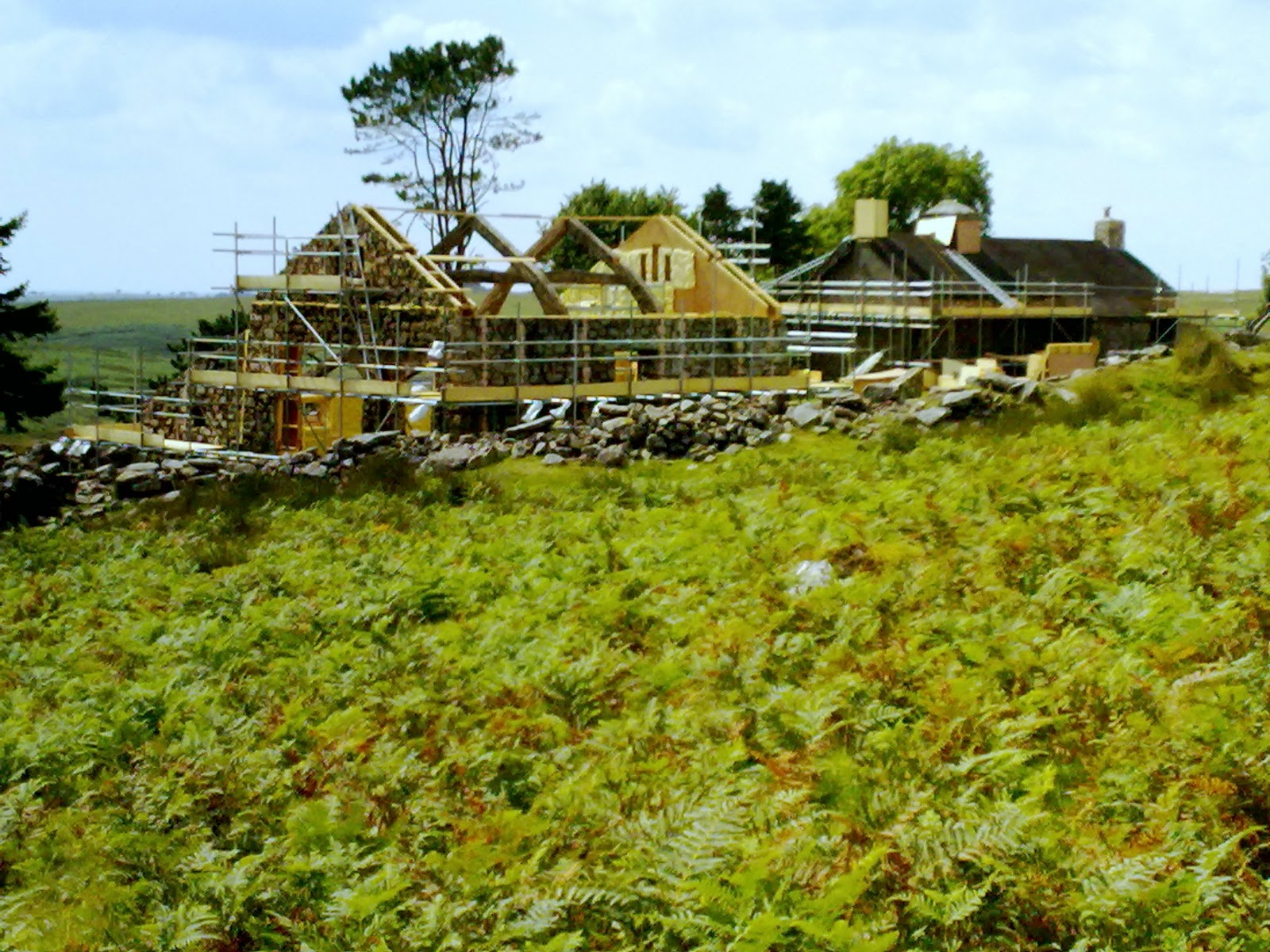 My Dartmoor Walks: Friday 13th January Gutter Tor and War Horse