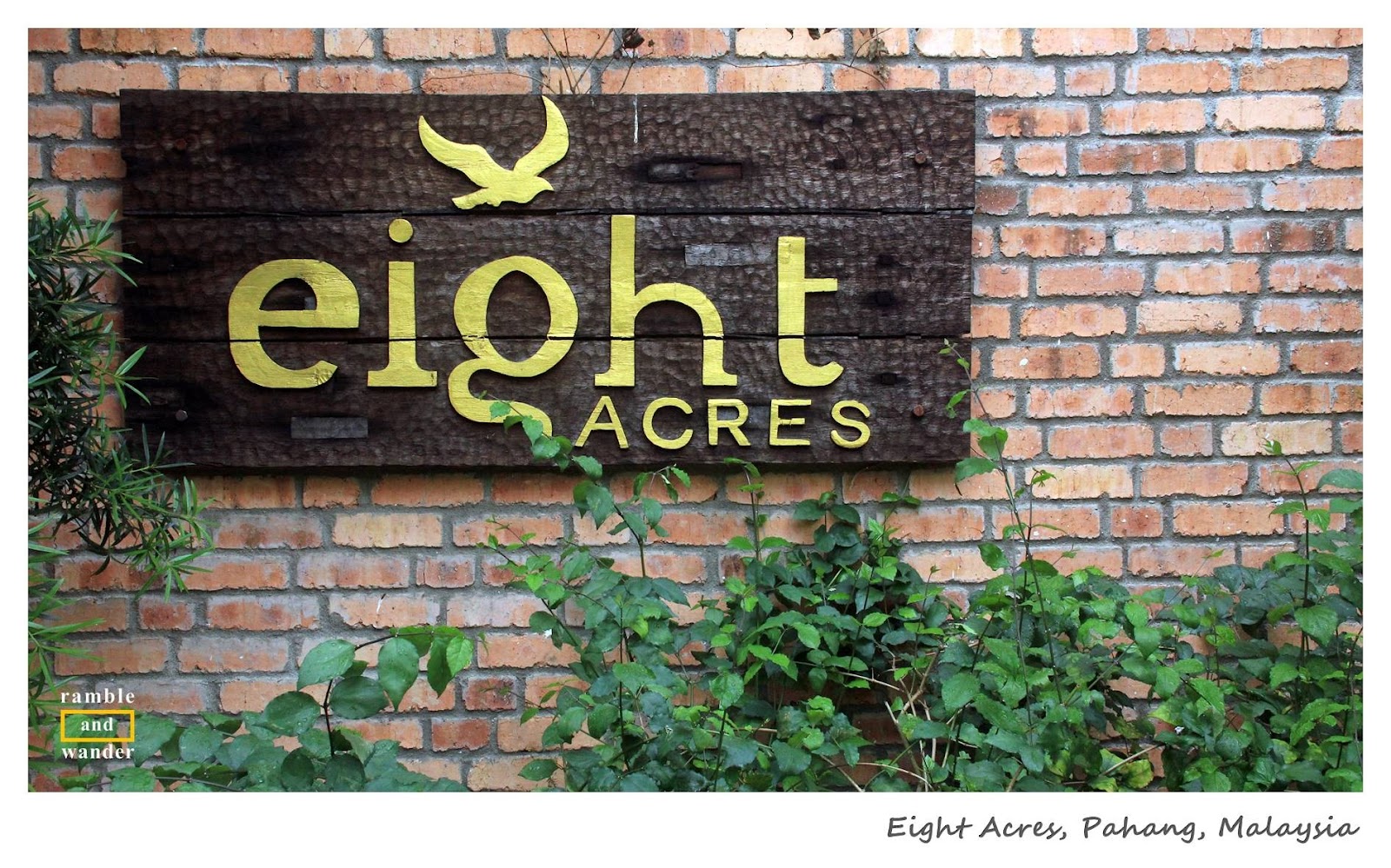 Eight Acres Raub Review