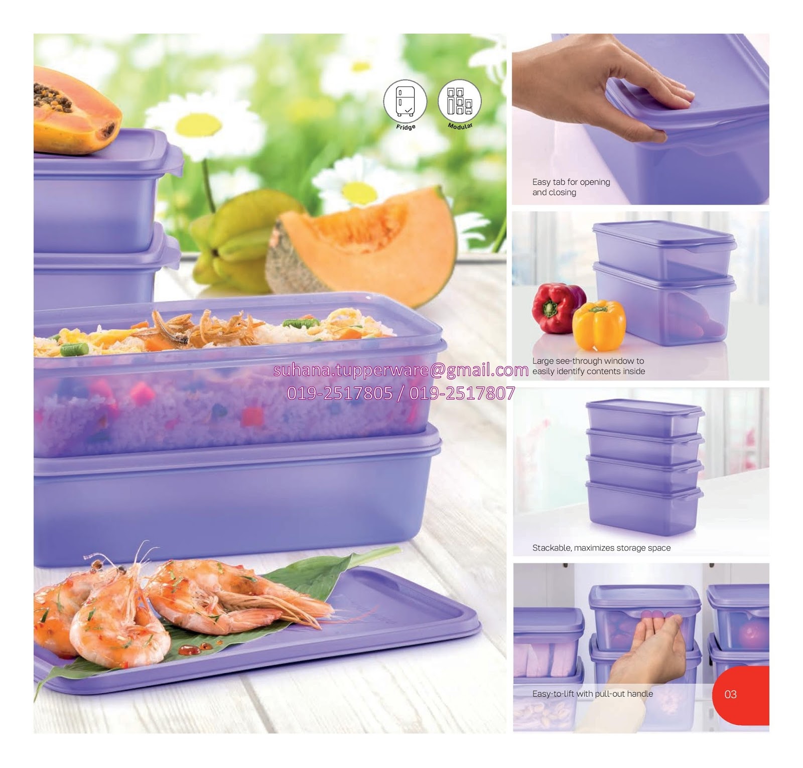 Tupperware Brands Malaysia Online | Catalogue | Collection | Business ...