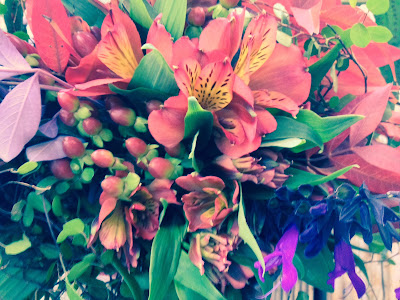 Branching Out Floral Designs: Alocasia Love