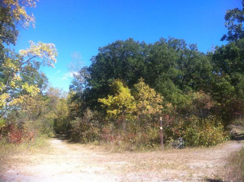 Take a Hike: Pembina Valley Provincial Park