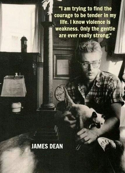 Down the road less traveled..: Bullying and Beautiful Hearts and Gentle ...