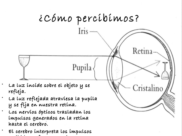 Fotografía y cine : ¿Como percibimos?
