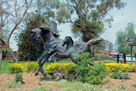 "A Day In The Valey" - Garden Tour of Pilton Valley 21/10/12