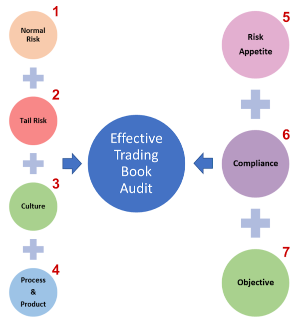 Causal Capital: Effective Treasury Audits