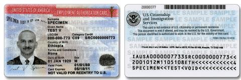 Creando Mi sueño americano: Green Card - Employment authorization ...