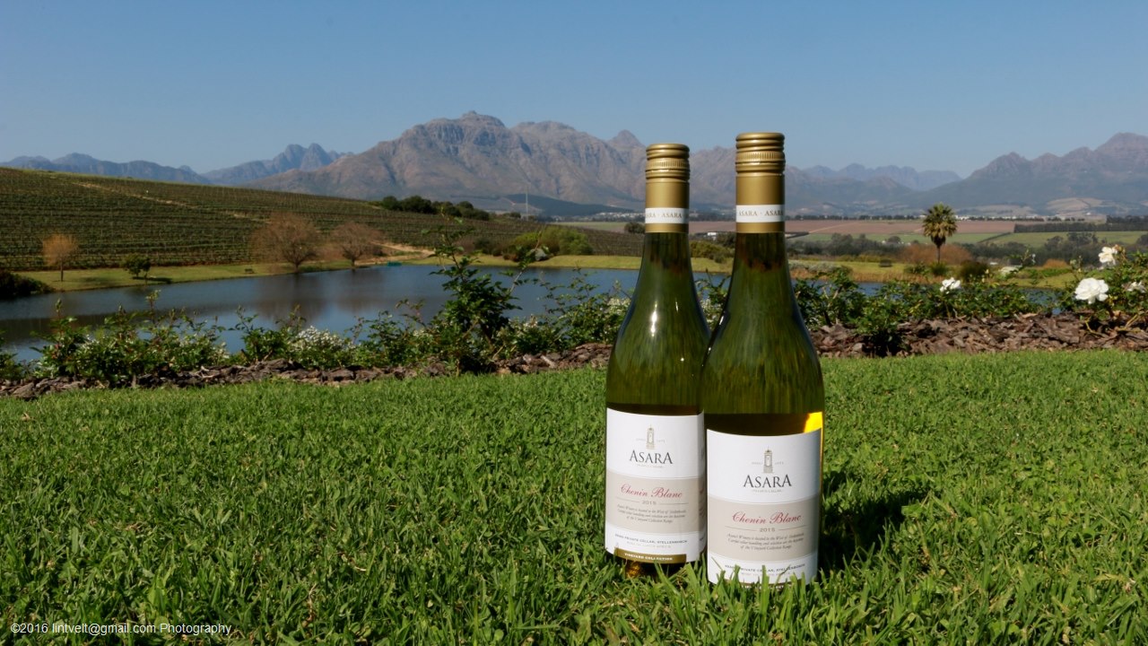 Asara Chenin Blanc 2015 - WineTourismZA South Africa