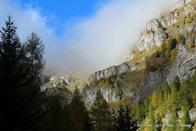 Poveştile mele: Bucegi: Valea Cerbului, Valea Caldarile, Valea Priponului