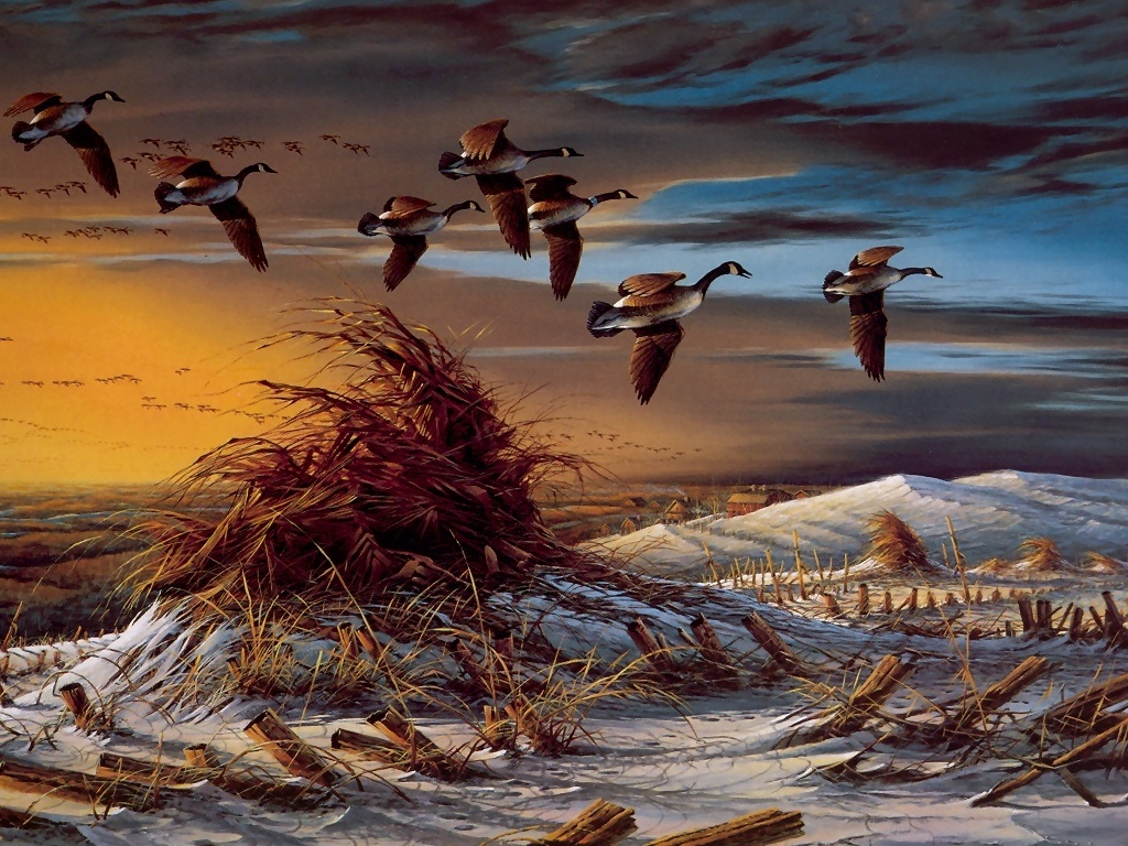 Terry Redlin Art ~ Photos Art
