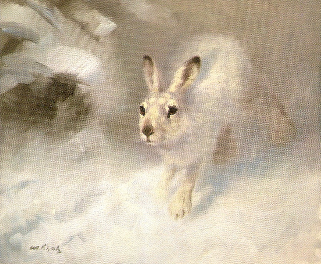 National Wildlife Galleries: The Art of Manfred Schatz