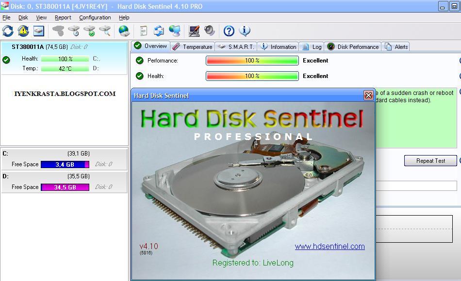 Hard Disk Sentinel Professional v4.10 build 5816 | Key | Download ...