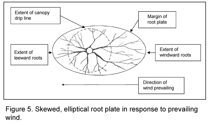 Openplants: April 2018