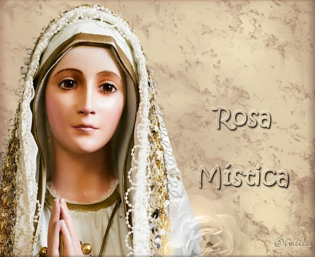 Santa María, Madre de Dios y Madre nuestra: Rosa Mística