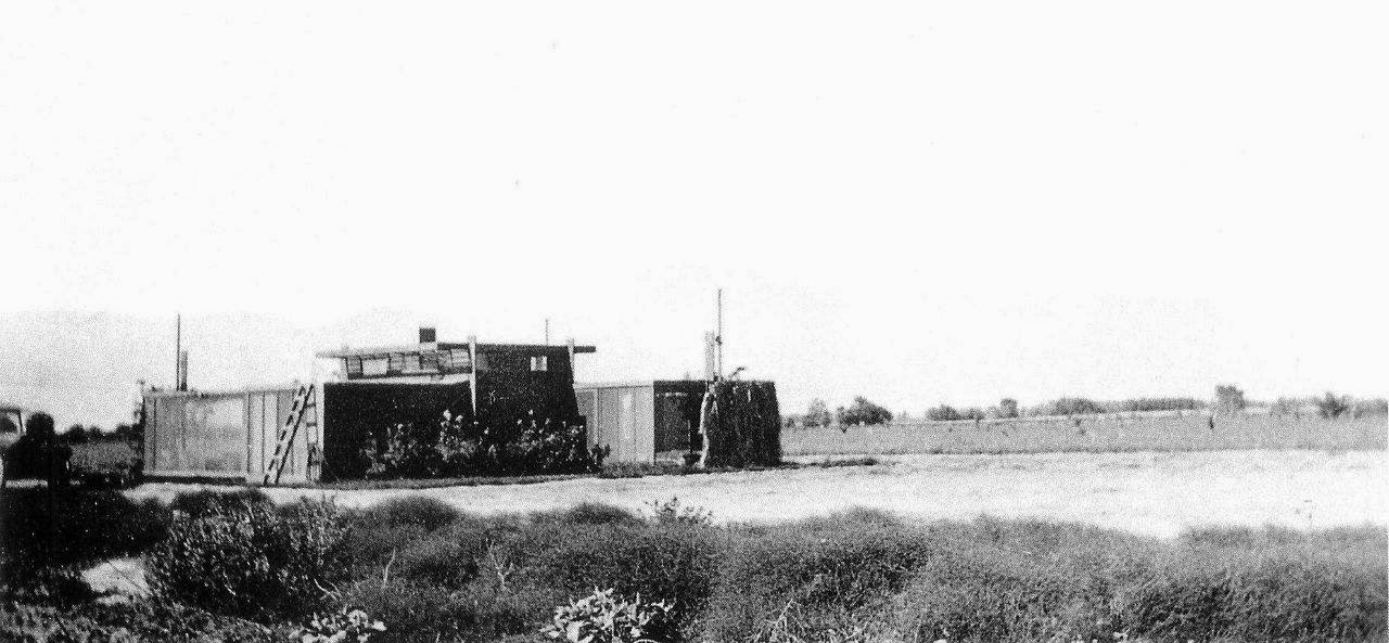 The Schindlers and the Westons and Their Bohemian Circles: The ...