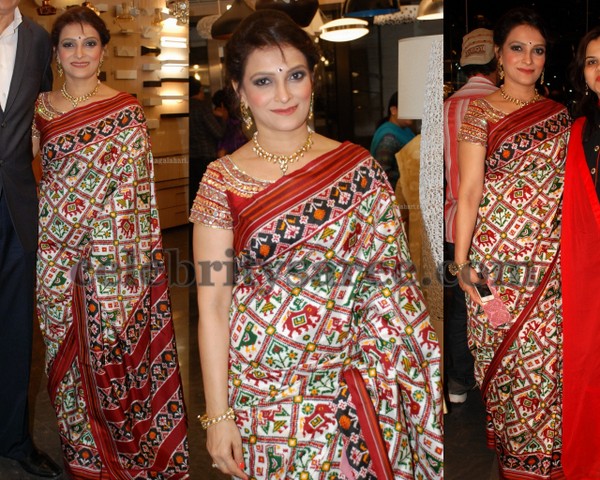 Bina Mehta Pochampally Saree - Saree Blouse Patterns