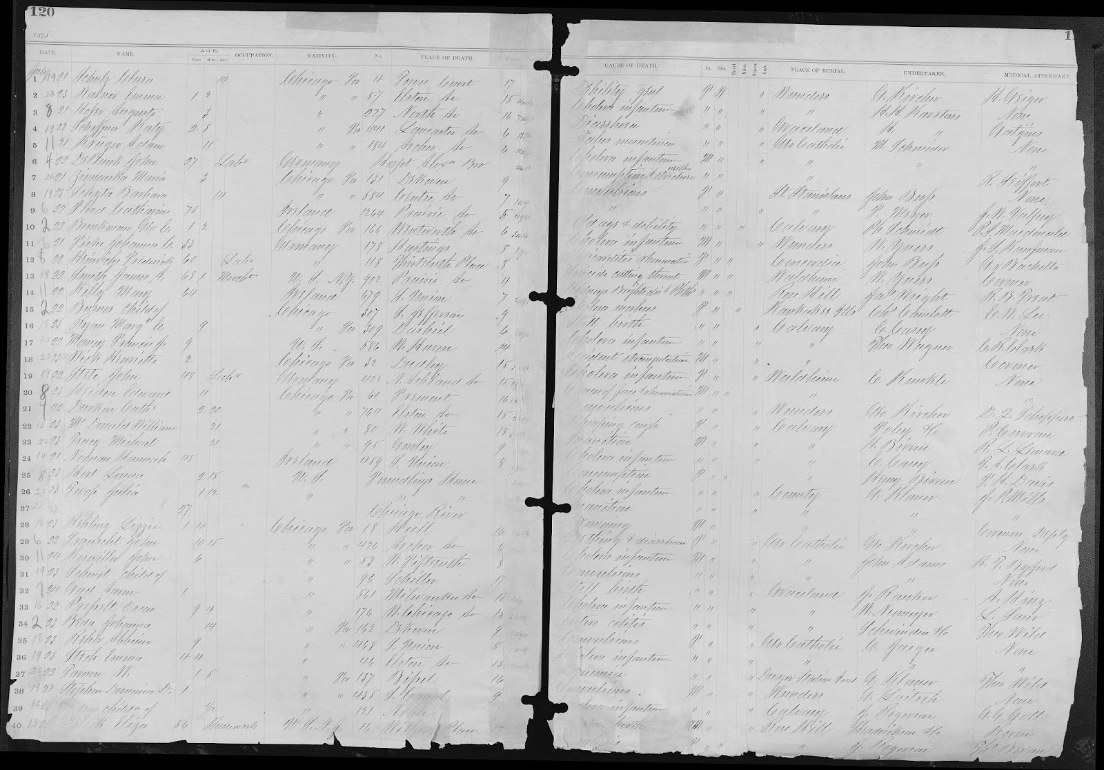 ChicagoGenealogy: Research Insights from Study and Serendipity: Newly ...