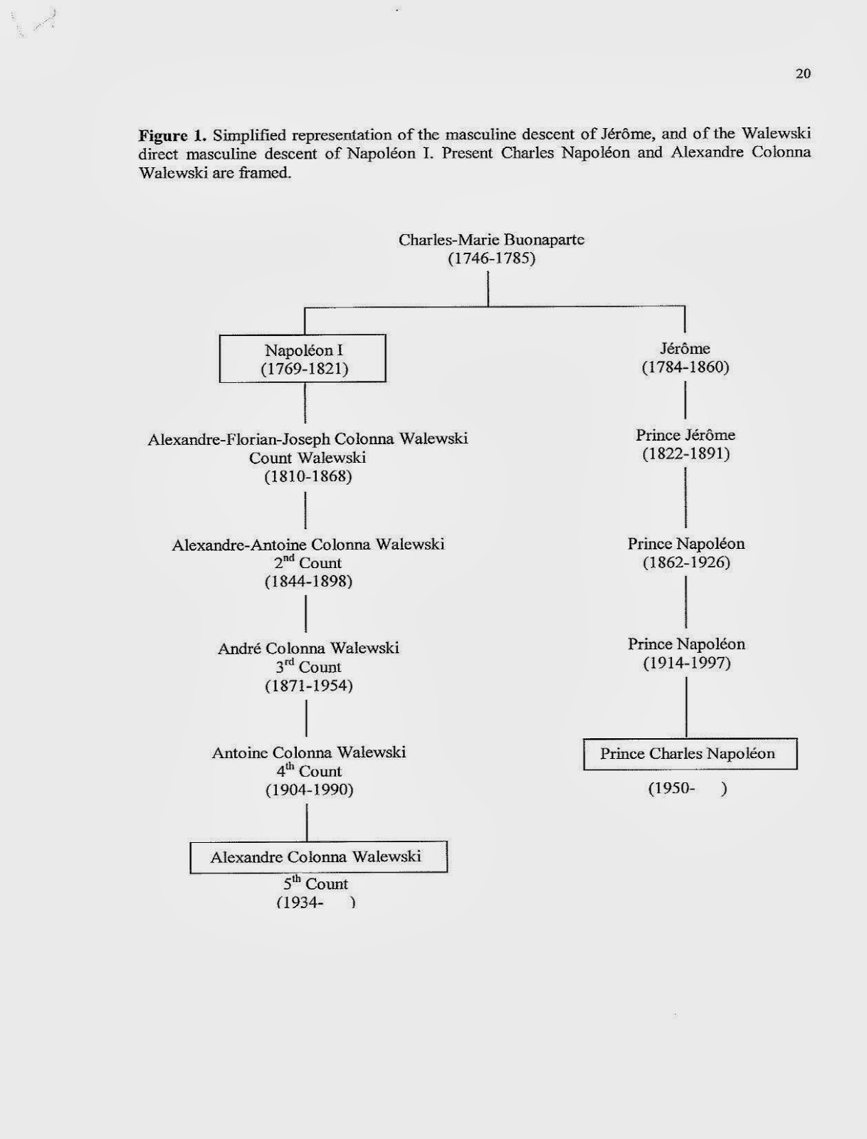 Dienekes’ Anthropology Blog: Y-chromosome of Napoleon the Great