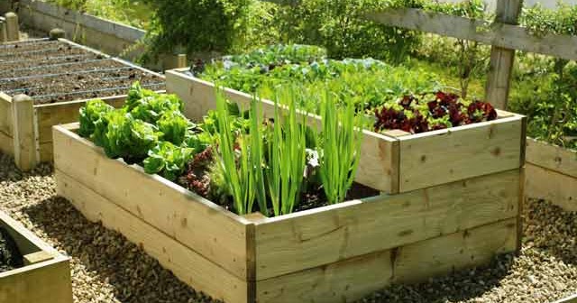 Two Men and a Little Farm: TWO LEVEL RAISED BED PART TWO INSPIRATION ...