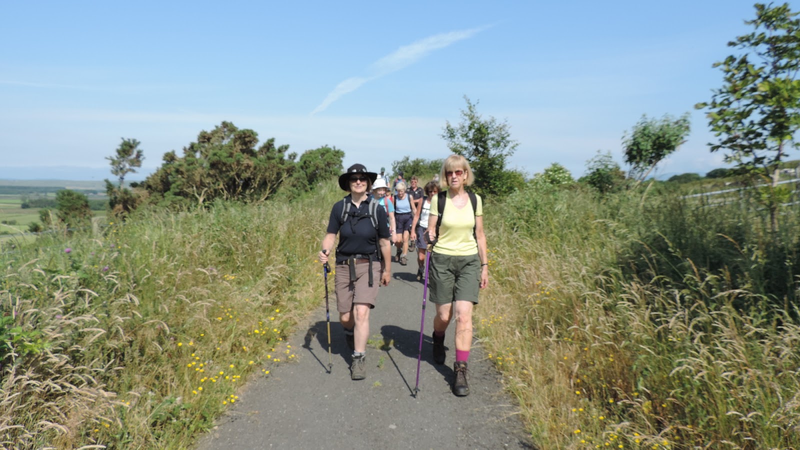 The Glebe Blog: Wigtownshire Ramblers Cuil Creetown July 2013