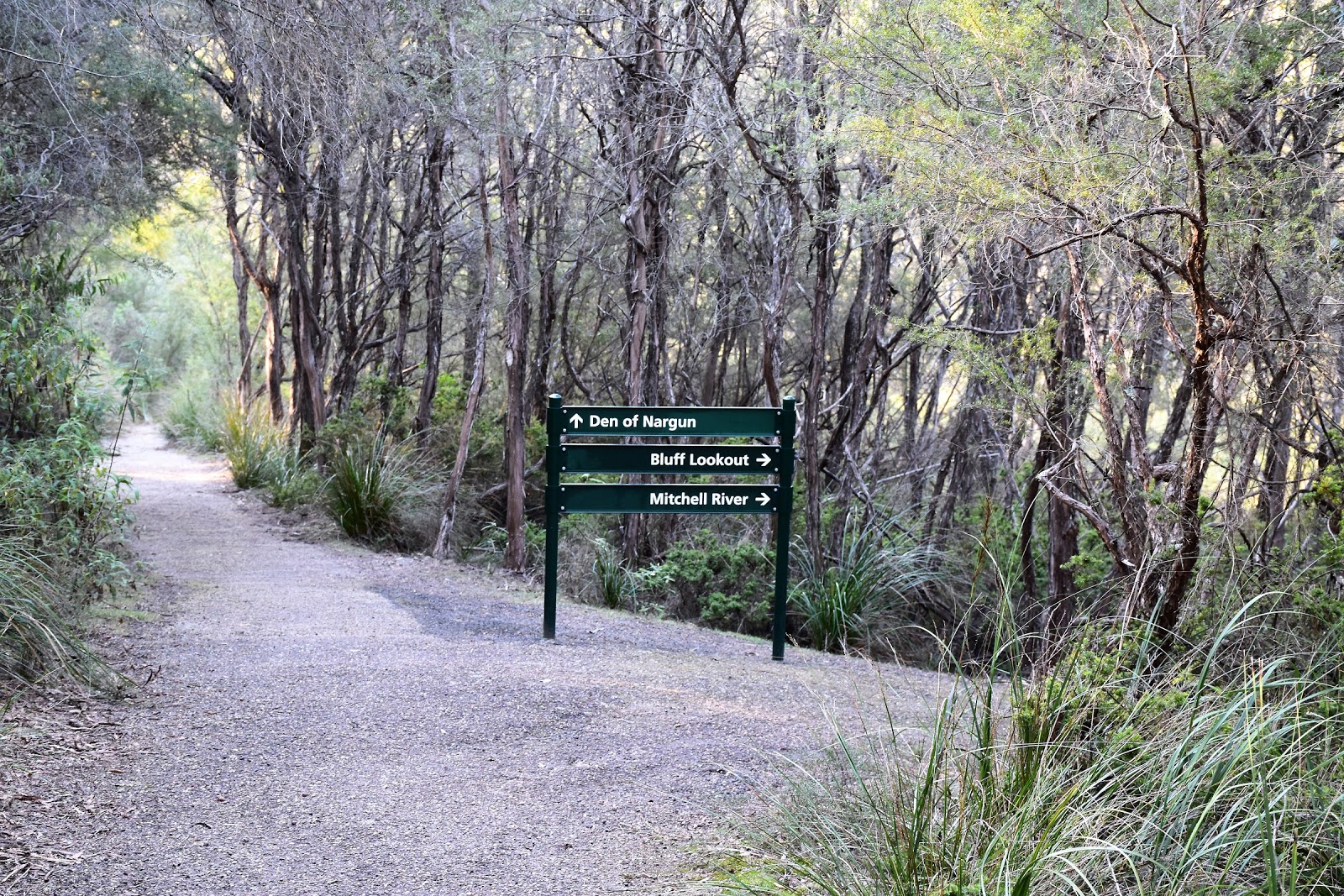 Goin' Feral One Day At A Time: Den of Nargun, Mitchell River National ...