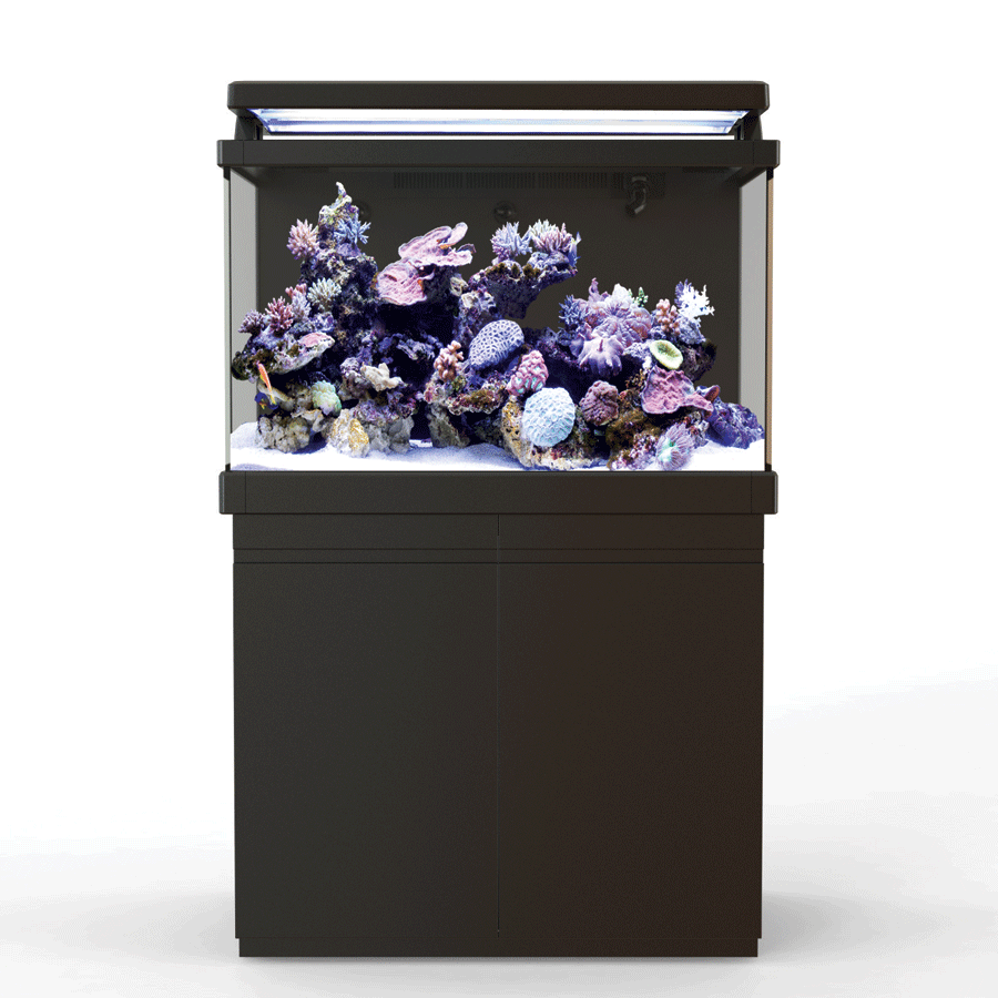 L'aquarium récifal: Nano Reef