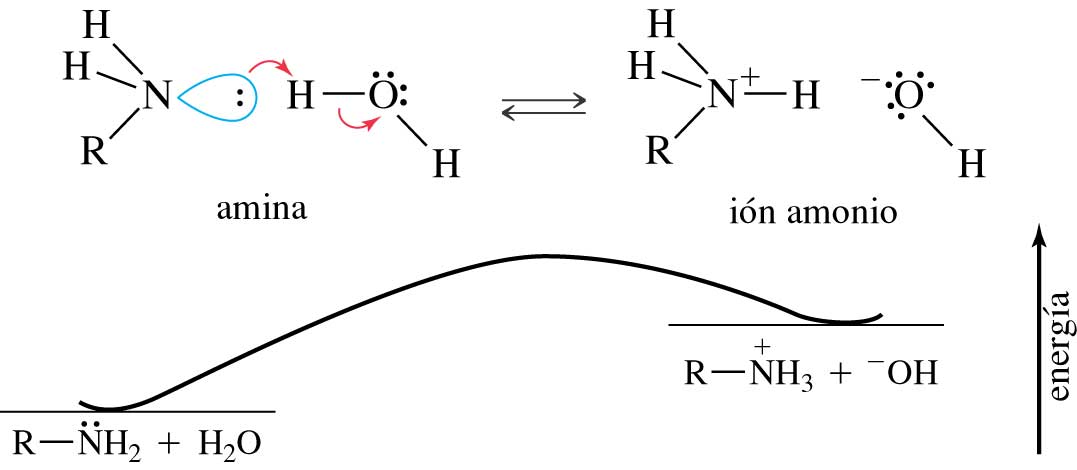 Organicamente Funcional: Aminas 1