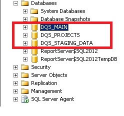 Introduction to Data Quality Services - Microsoft Technology Professional
