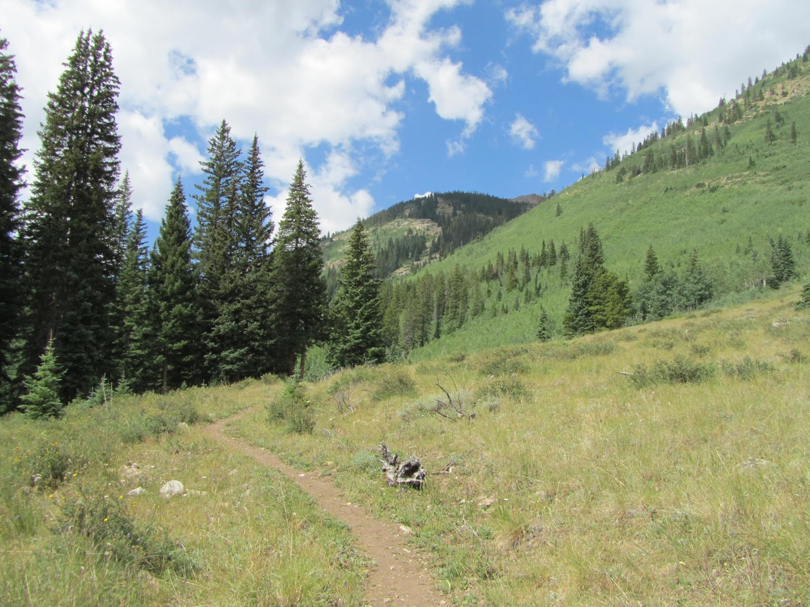 Tomcat's Outdoor Adventures: Backpacking the Collegiate Loop