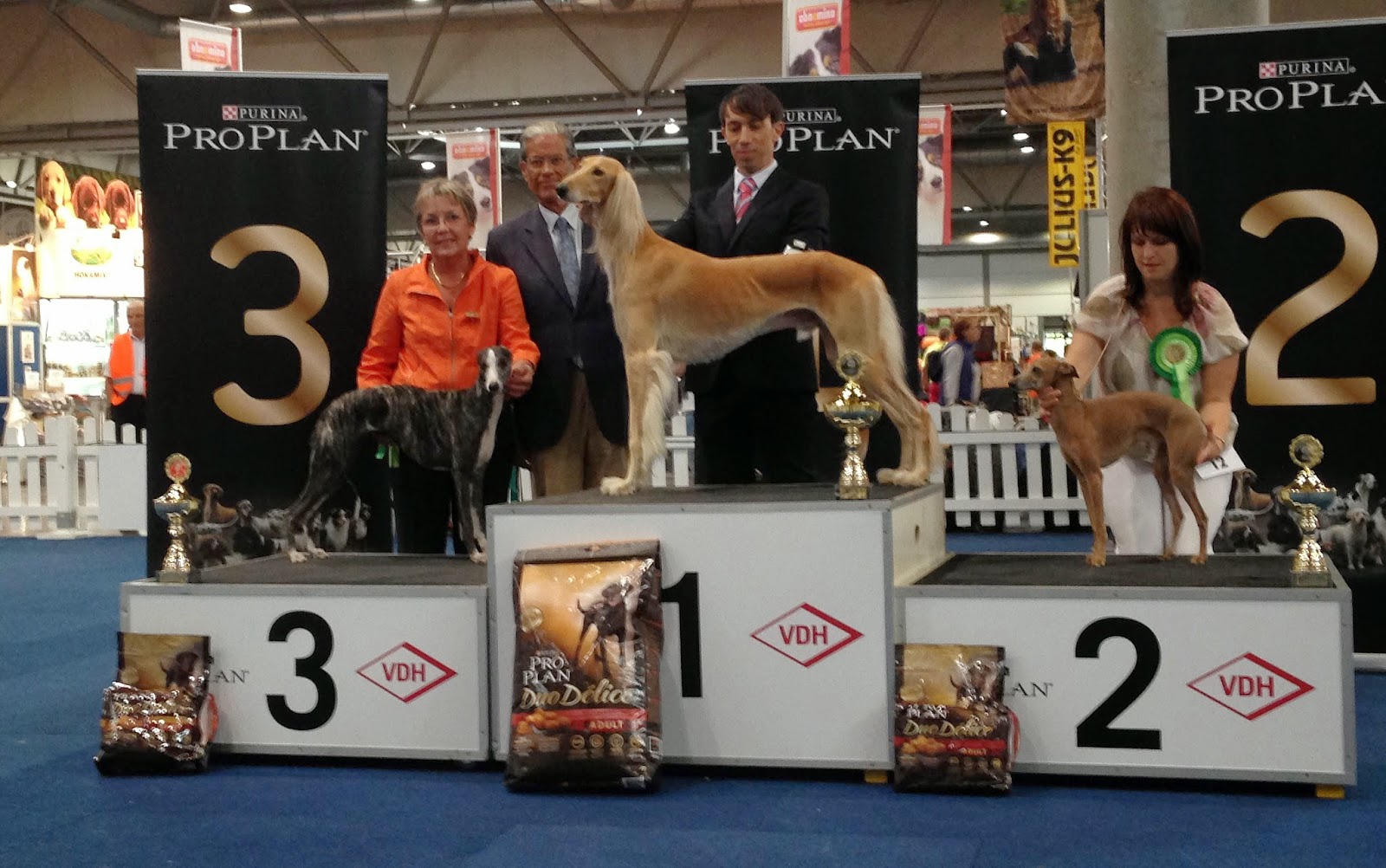 Whippets High on Emotion: Erfolgreiches Wochenende für unsere Whippets