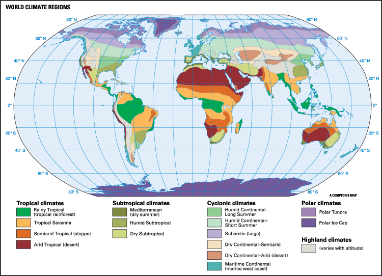 EL BAZAR DE PRIMARIA