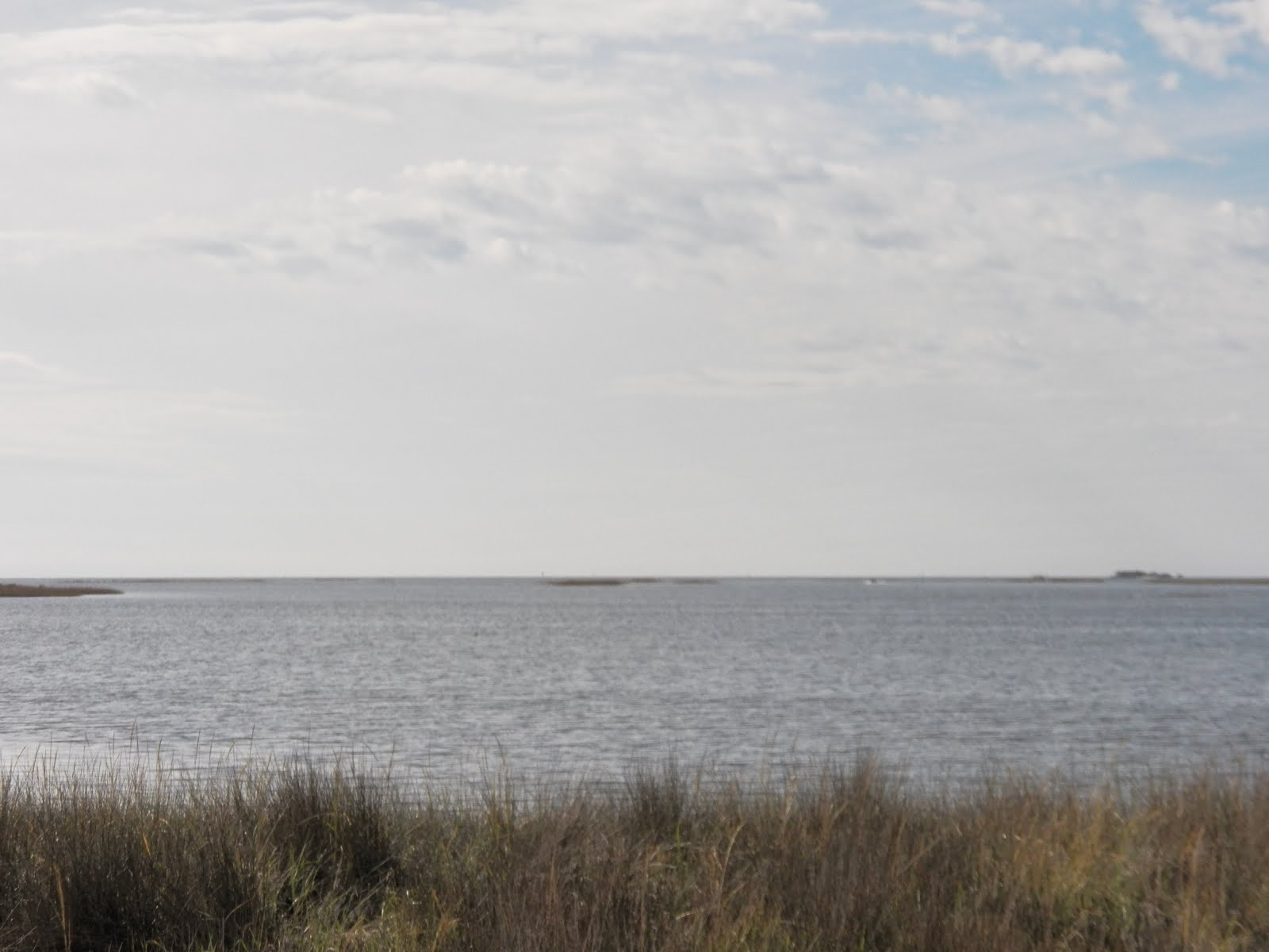 Voyager54: Shell Mound State Park