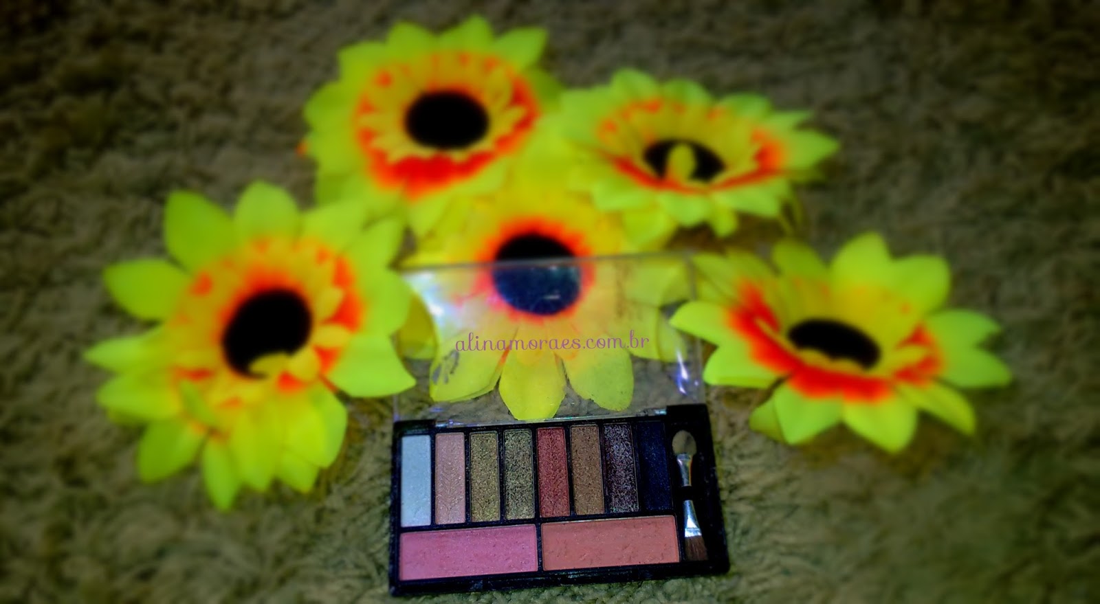 ALINA MORAES: RESENHA: Paleta de sombra sem marca