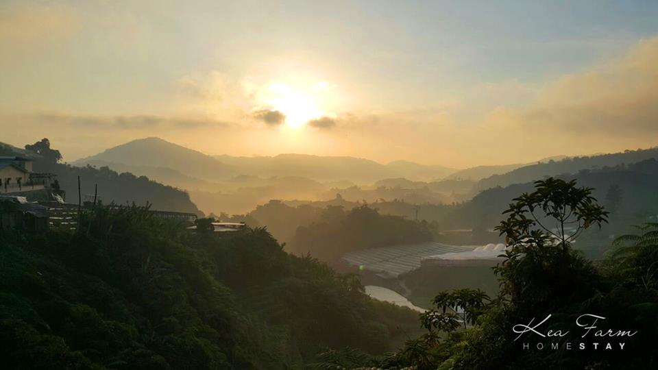 Gogo Malaysia Travel