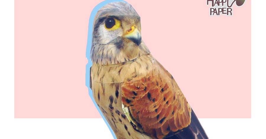 Paper craft: Kestrel - Paper crafted origami